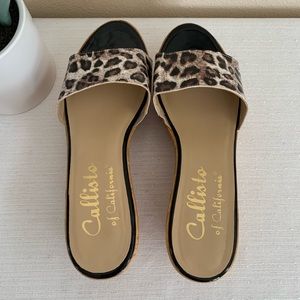 Callisto | Shoes | New Callisto Of California Cheetah Print Wedge ...